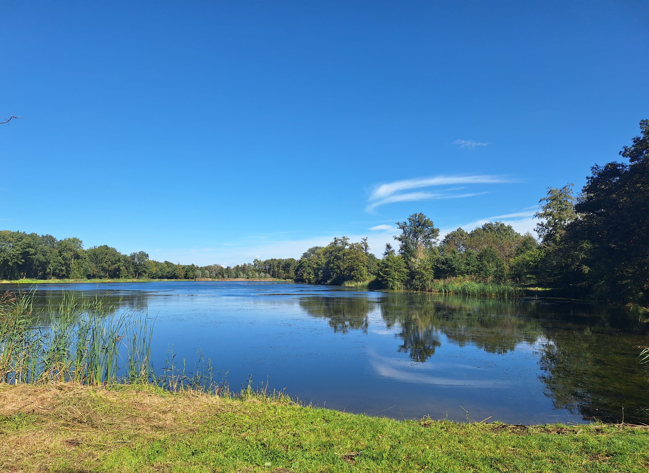 talavorming – Freelance vorming coach Freya Stevens